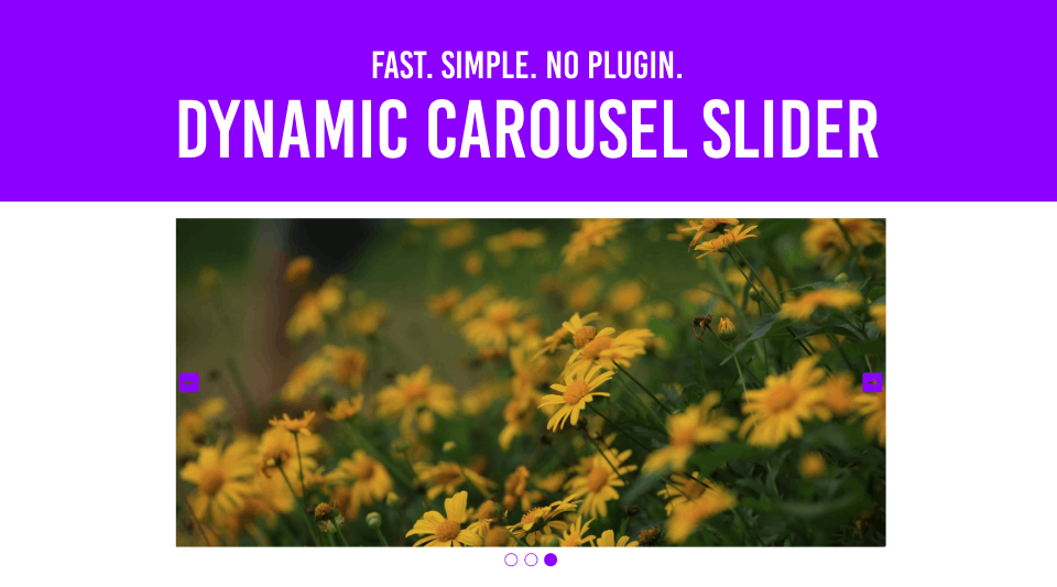 Dynamic Carousel Slide Template | Bubble